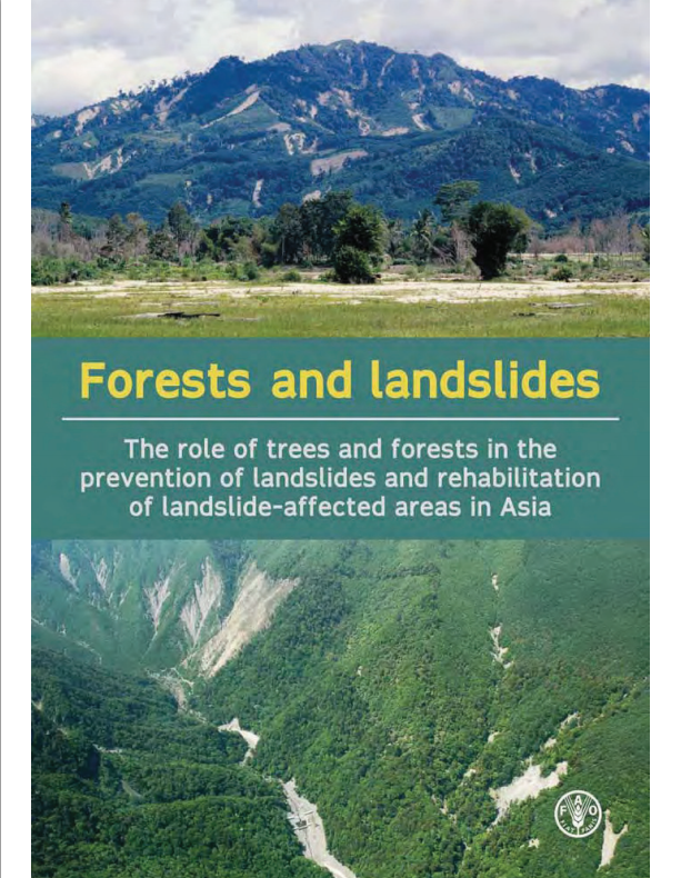 FAO - SFM Tool Detail: Forests and landslides: the role of trees and ...