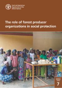 FAO - SFM Tool Detail: The Role of Forest Producer Organizations in ...