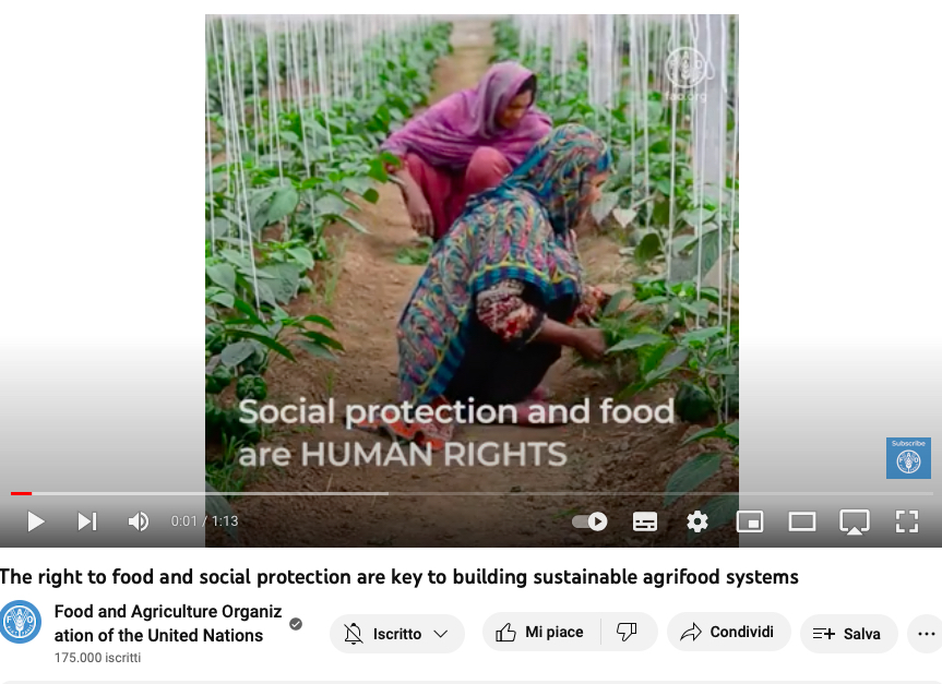 FAO - SFM Tool Detail: The right to food and social protection are key ...