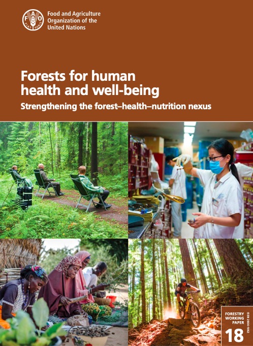 FAO - SFM Tool Detail: Forests for human health and well-being ...