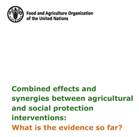 FAO - SFM Tool Detail: Combined effects and synergies between ...