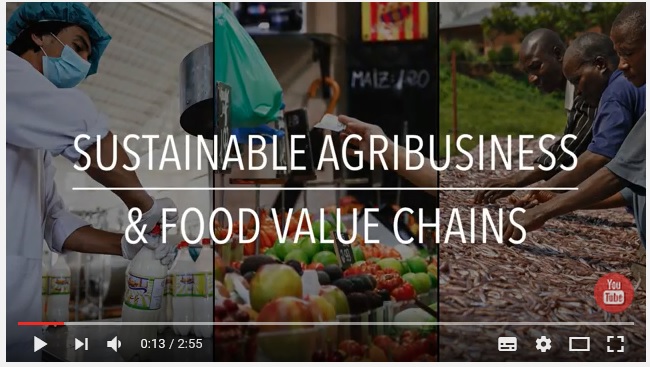Sustainable Agribusiness & Food Value Chains