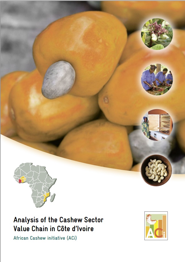Analysis of the Cashew Sector Value Chain in Côte d’Ivoire - Africa ...