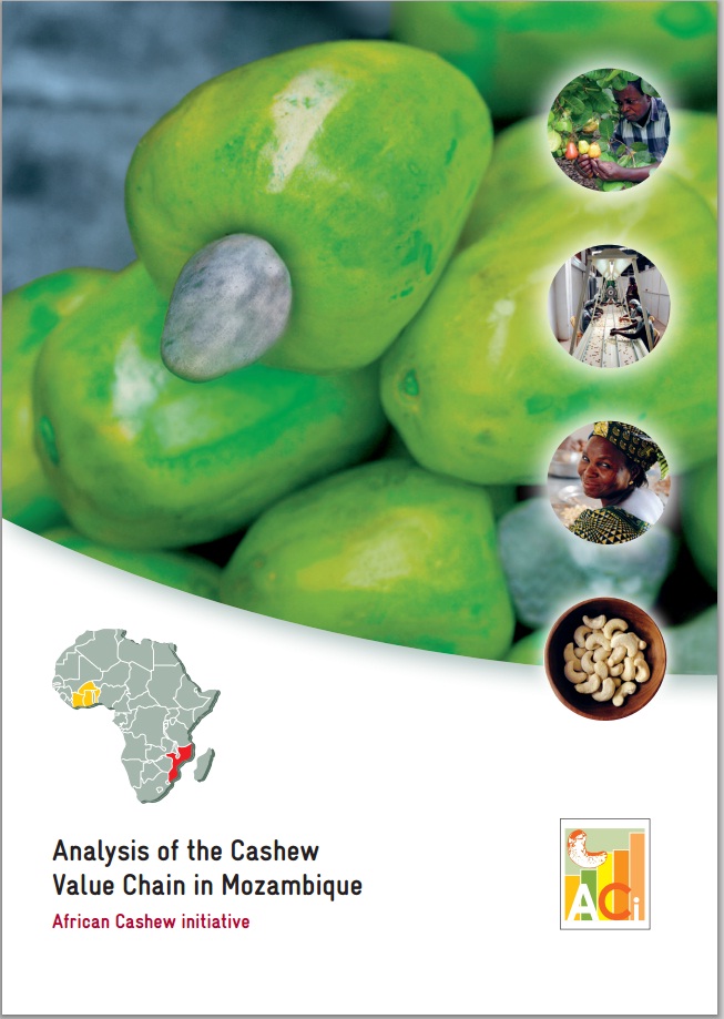 Analysis of the Cashew Value Chain in Mozambique - African Cashew ...