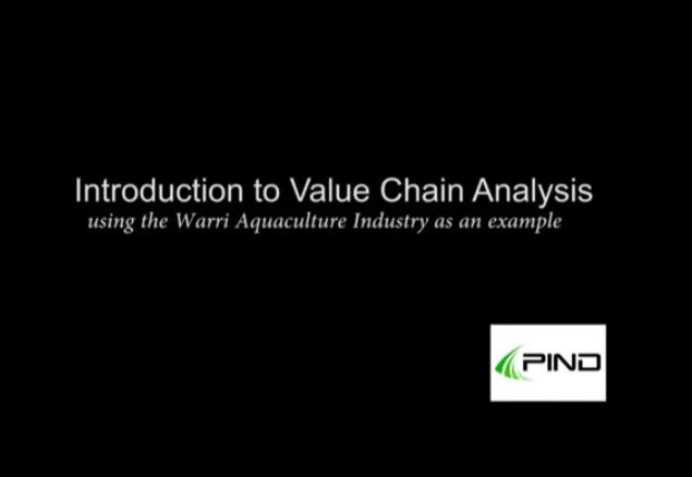 Value Chain Analysis Film