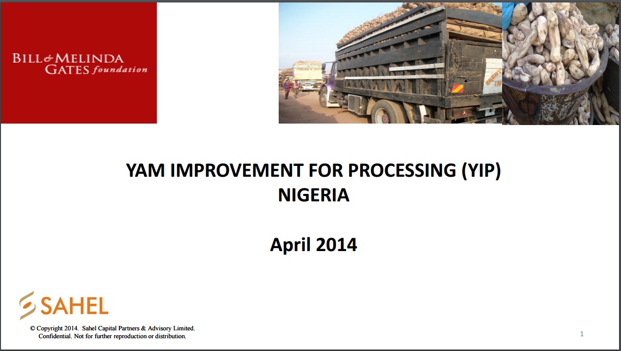 Yam Improvement for Processing (YIP): Nigeria