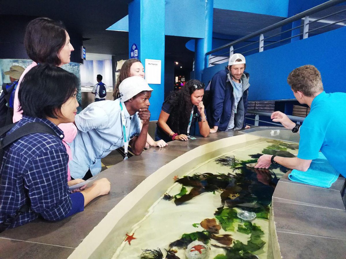 Exploring Information and Communication Technology for Fisheries