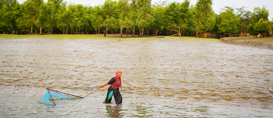 Voluntary Guidelines for Securing Sustainable Small-Scale Fisheries ...