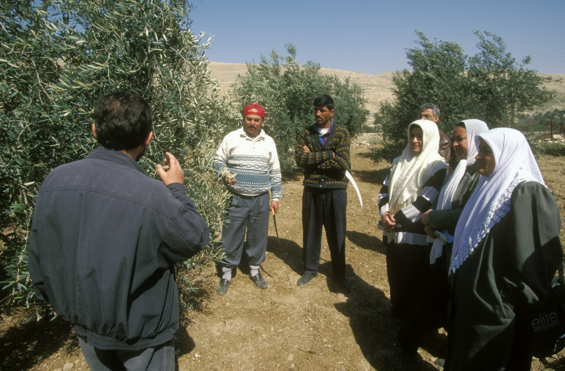 GEF grant approved for Badia Ecosystem and Livelihoods Project in ...