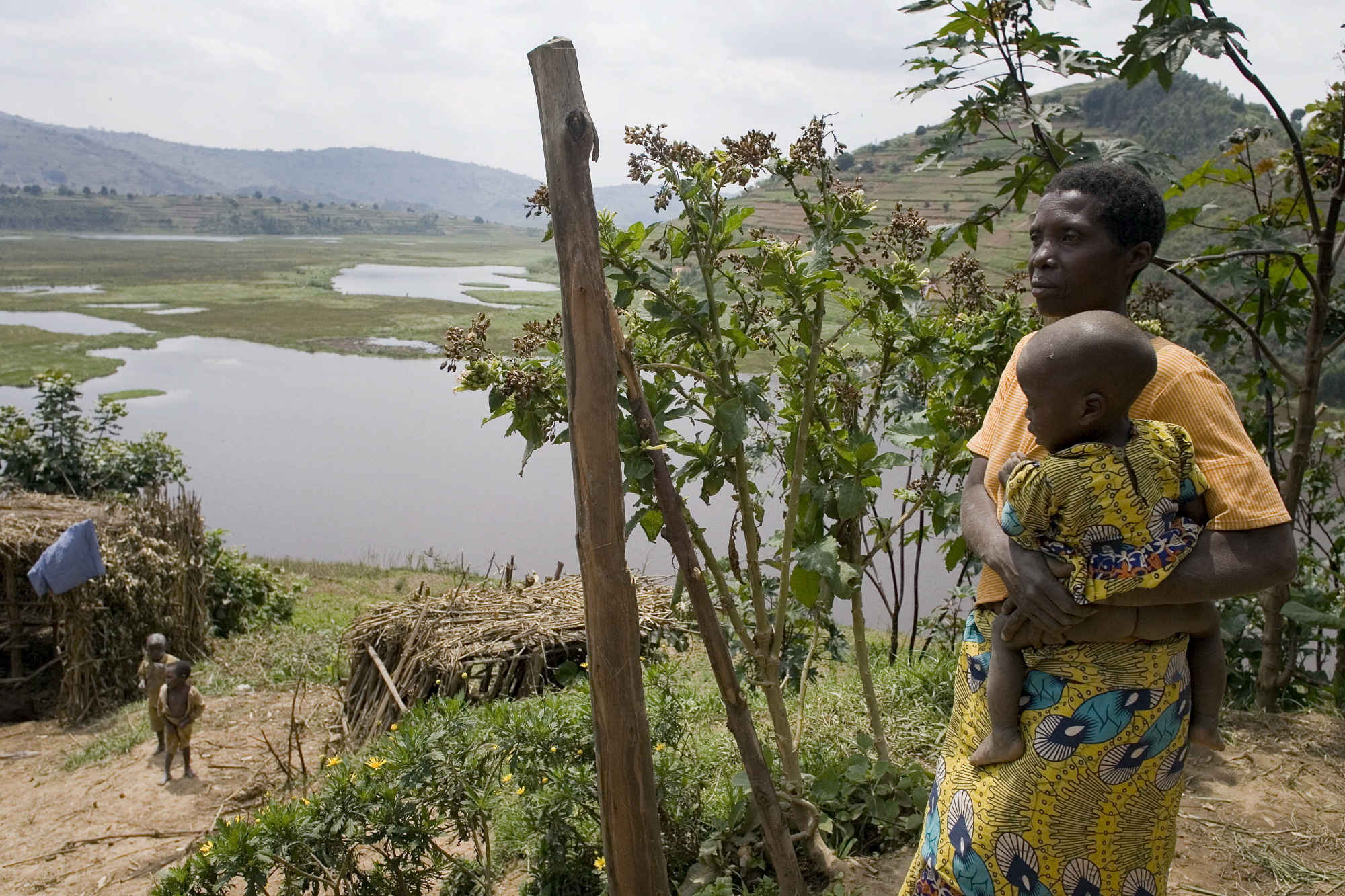 FAO’s support to agricultural transformation in Rwanda | Support to ...