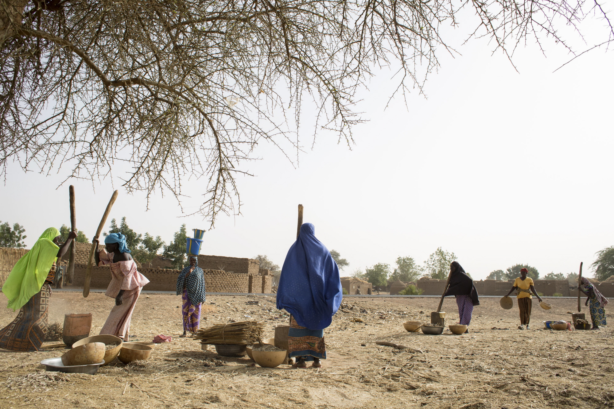 Making Niger more resilient to climate risks | Support to Investment ...