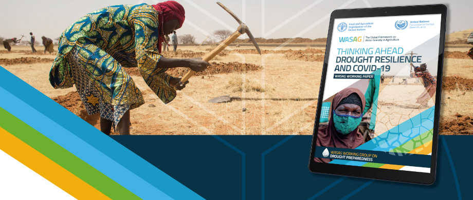 WASAG – The Global Framework on Water Scarcity in Agriculture | Food ...