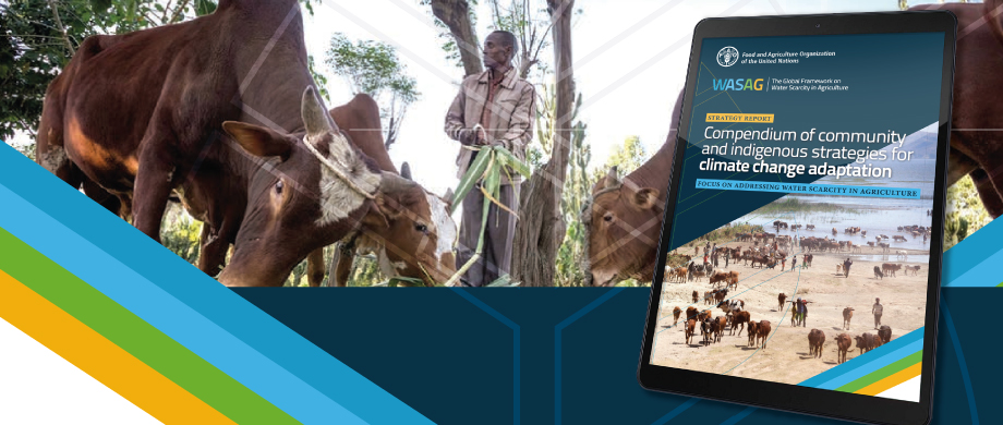 WASAG – Le Cadre mondial contre la pénurie d’eau dans l’agriculture ...