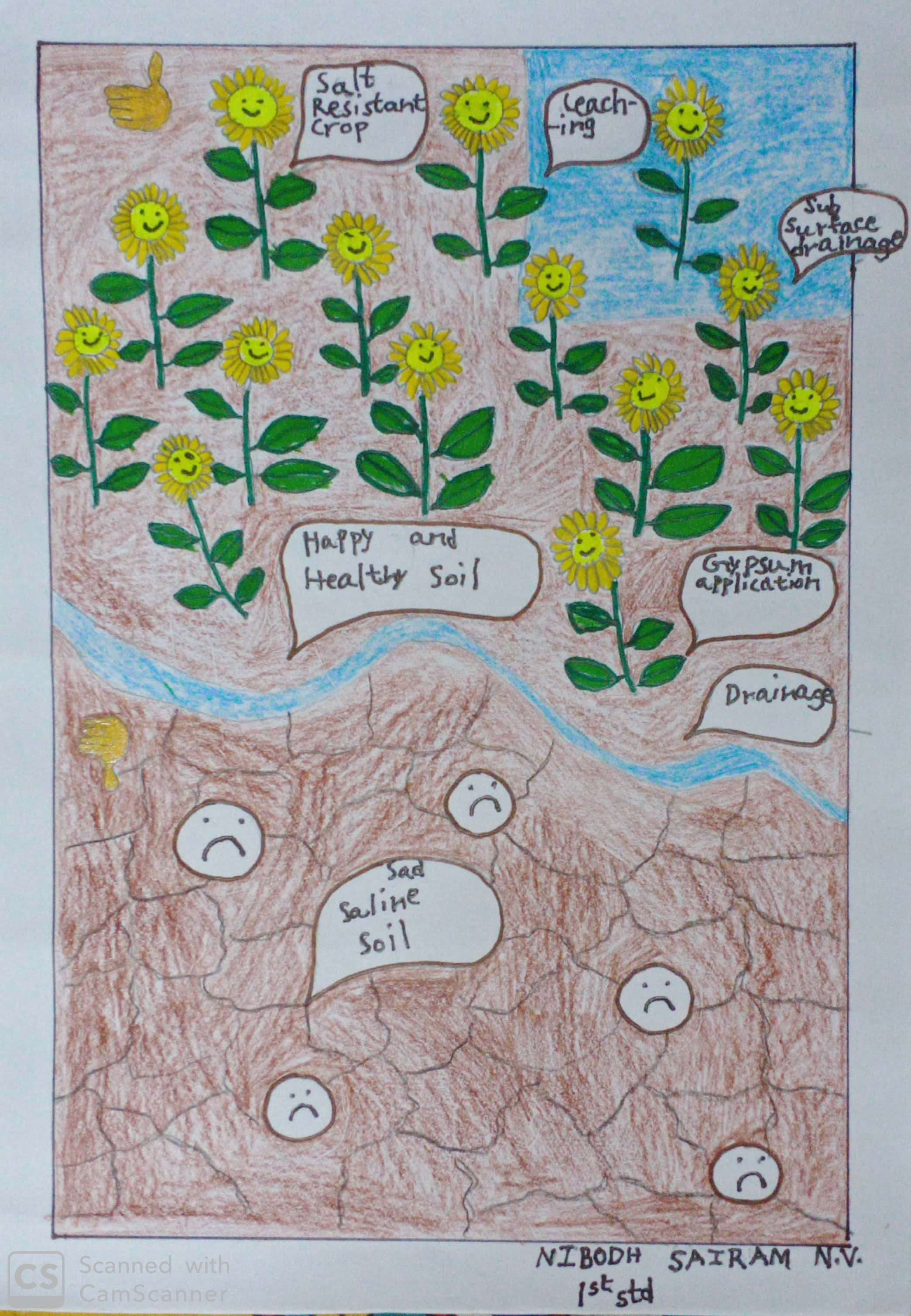 Soil Erosion Prevention Poster