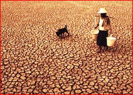 Open Letter on Climate Change Action | Yunga-UN | Food and Agriculture ...