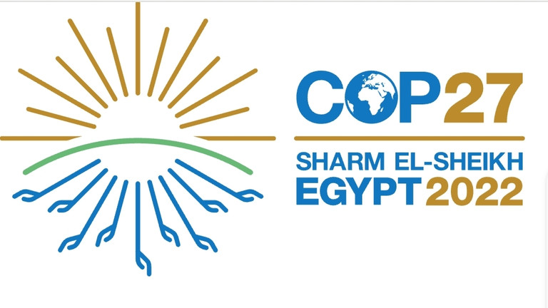 COP27 side-event "Youth Communication Campaigns: how to convince family ...