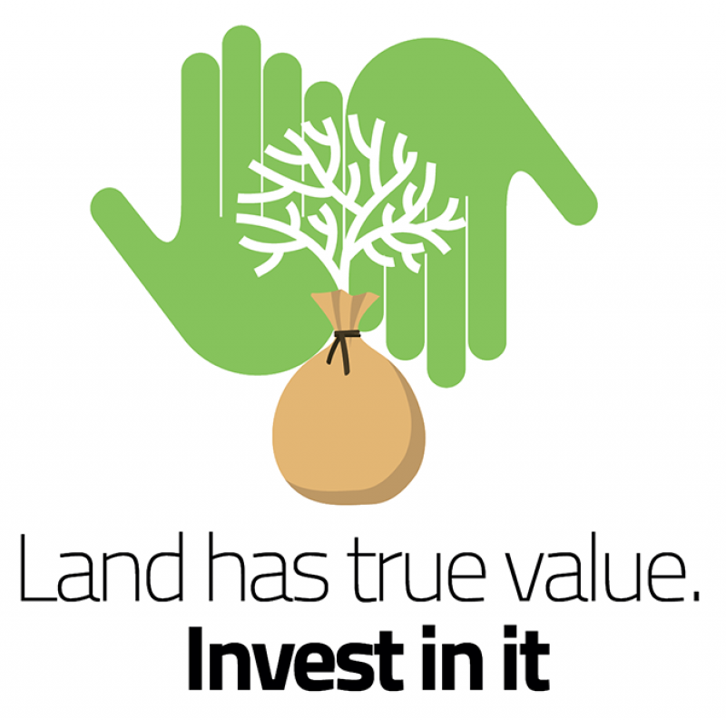 World Day to Combat Desertification and Drought | Yunga-UN | Food and ...