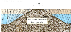 HANDBOOK3. Constructing fish ponds