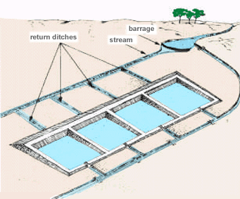 HANDBOOK 6. Bringing water to your ponds