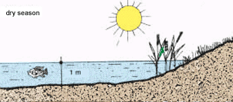 HANDBOOK15. Producing fish in pens