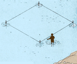 HANDBOOK15. Producing fish in pens