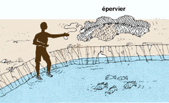 MANUEL DE PISCICULTURE ARTISANALE EN EAU DOUCE