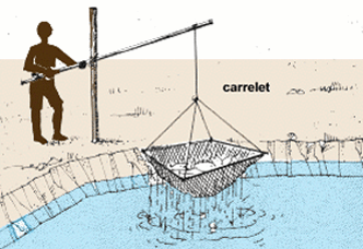 MANUEL DE PISCICULTURE ARTISANALE EN EAU DOUCE