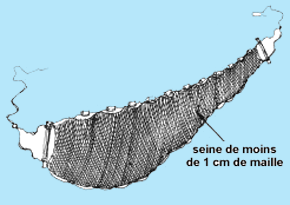 MANUEL DE PISCICULTURE ARTISANALE EN EAU DOUCE