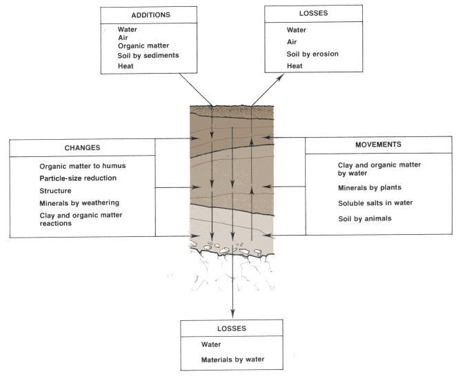 1. General Background