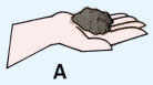 6. Soil Texture