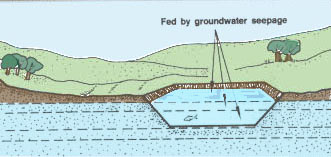 6. Fish Pond Construction