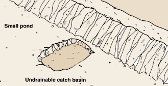 MANAGEMENT for freshwater fish culture