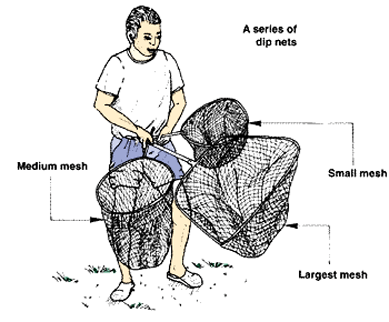 MANAGEMENT for freshwater fish culture
