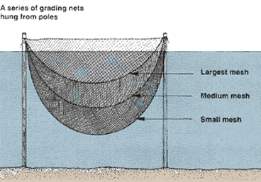 MANAGEMENT for freshwater fish culture