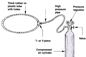 MANAGEMENT for freshwater fish culture