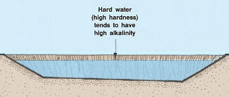 5. Pond Conditioning Through Liming