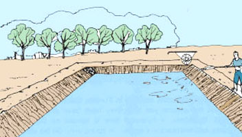 5. Pond Conditioning Through Liming