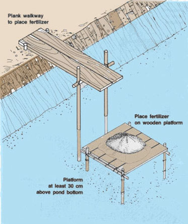 6. Fertilizing Fish Ponds
