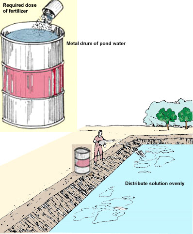 6. Fertilizing Fish Ponds