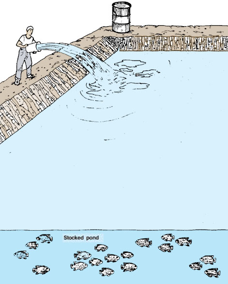 6. Fertilizing Fish Ponds