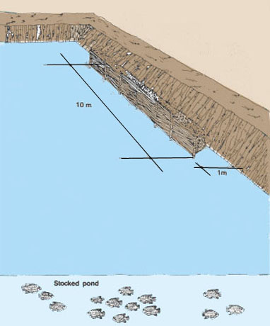 6. Fertilizing Fish Ponds