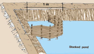 6. Fertilizing Fish Ponds