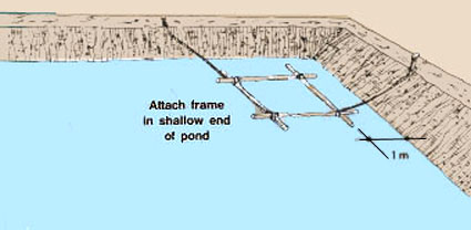 6. Fertilizing Fish Ponds