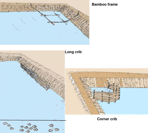 6. Fertilizing Fish Ponds