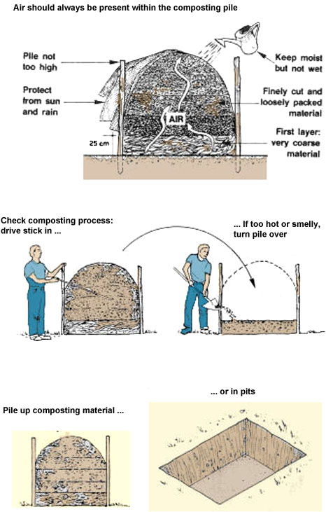 6. Fertilizing Fish Ponds