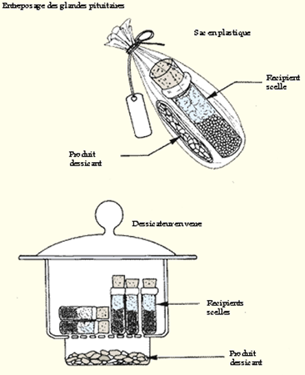 9. REPRODUCTION DES POISSONS