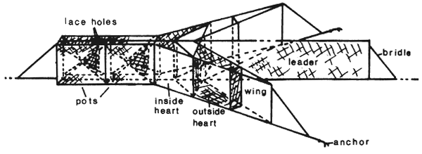 GUIDELINES FOR SAMPLING FISH IN INLAND WATERS