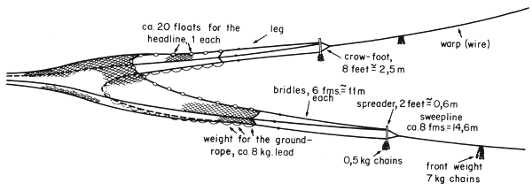 GUIDELINES FOR SAMPLING FISH IN INLAND WATERS
