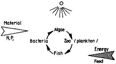 APPENDIX A - Fish Pond Technologies