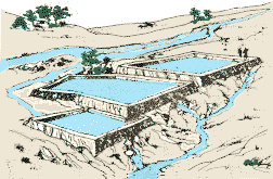 HANDBOOK3. Constructing fish ponds